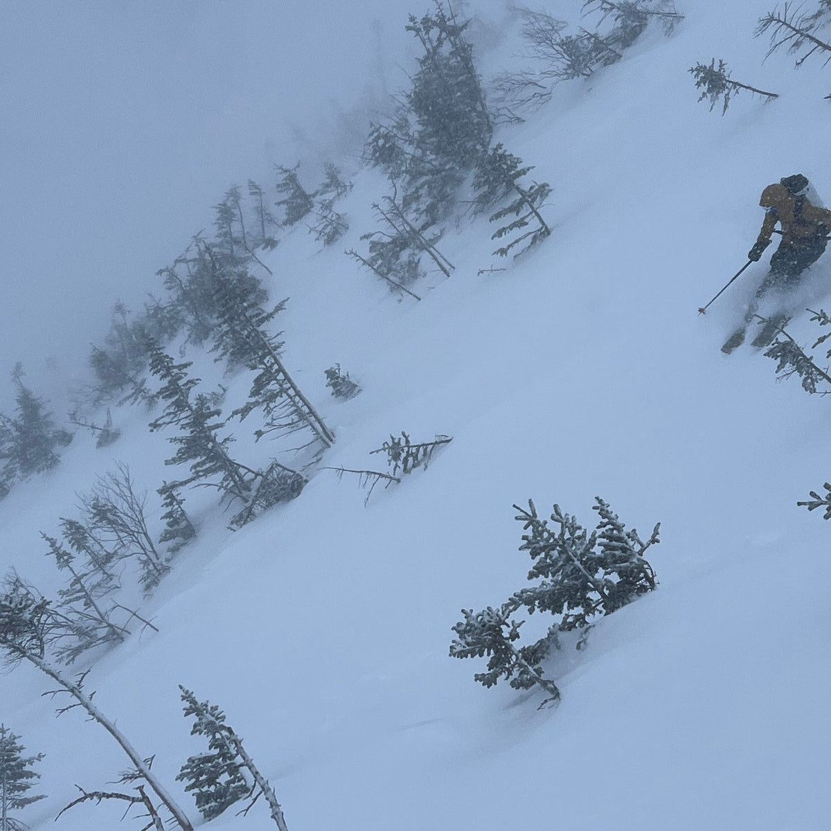 Gulf Of Slides Gully No. 3 - 2/23/25 – White Mountain Ski Co