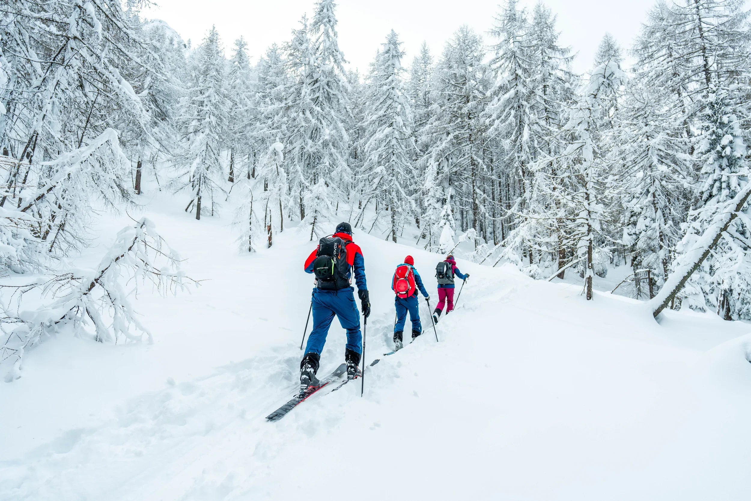 Hagan Skis – White Mountain Ski Co